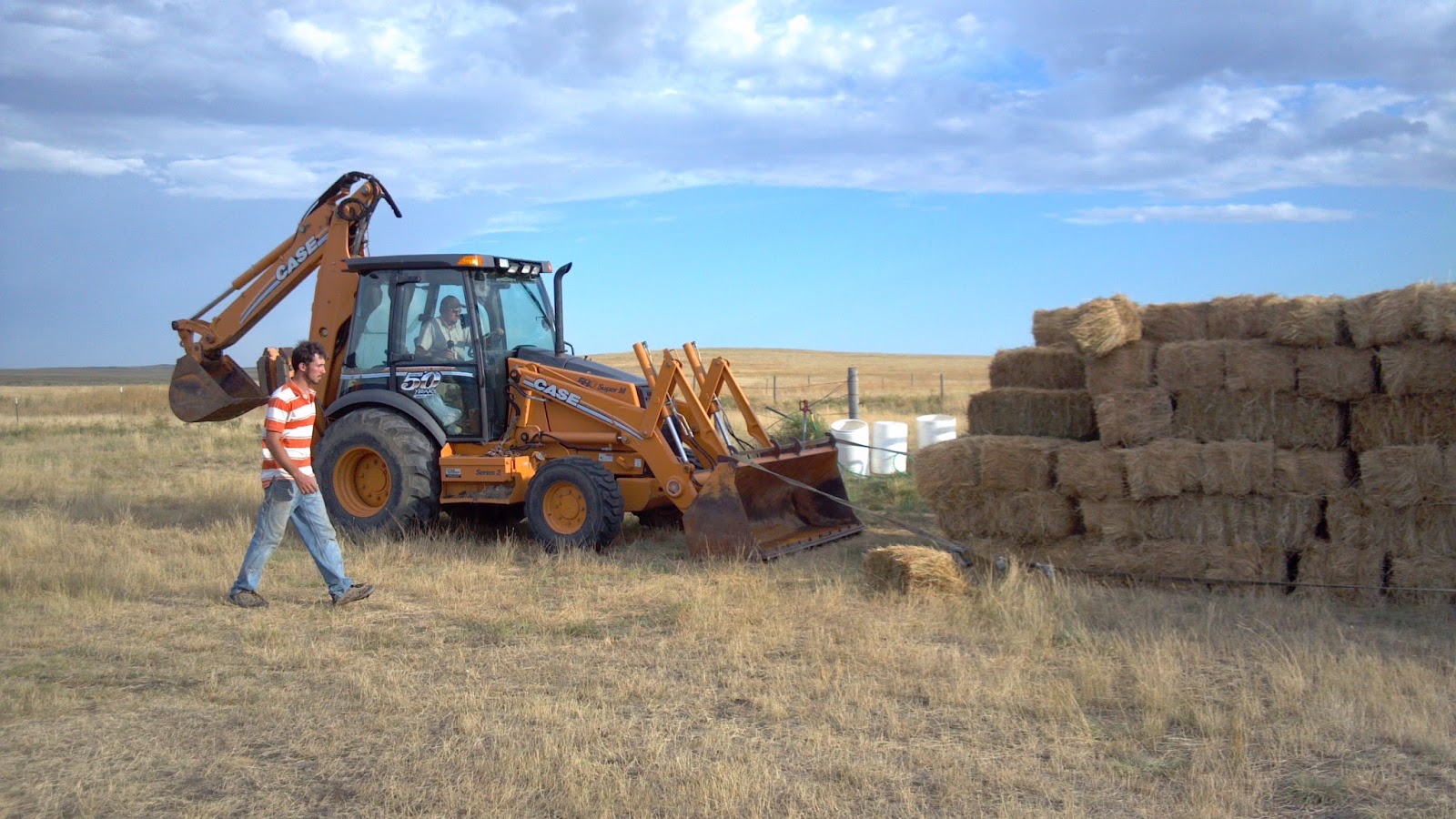 Why Geraldine!?: Hey Hay!