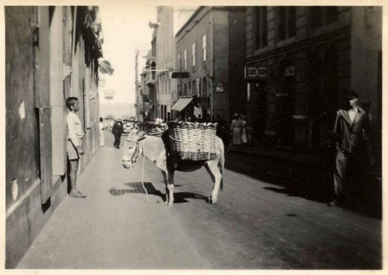 50 Amazing Found Snaps Show European Trips of Three Ladies in the Mid ...