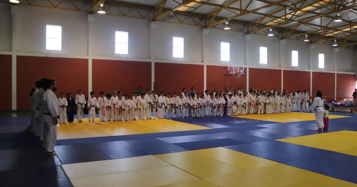 Escola de Judo Ana Hormigo