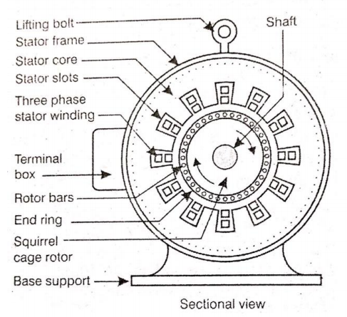 Three Phase Induction Motor