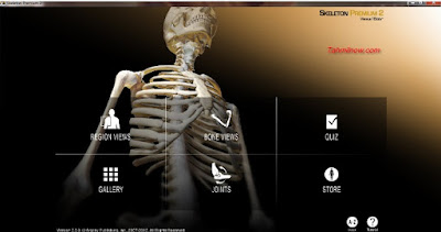 Terapia Ocupacional: Software Skeleton Premium 3d v2.0.0 probado y ...