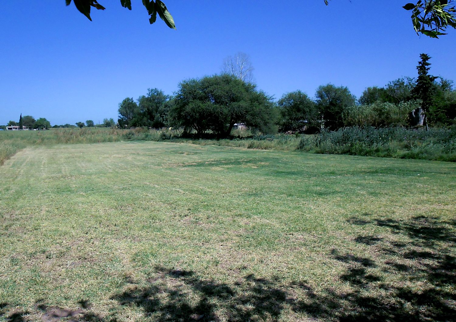 Municipalidad de Caleufú: LIMPIEZA DE TERRENOS BALDÍOS
