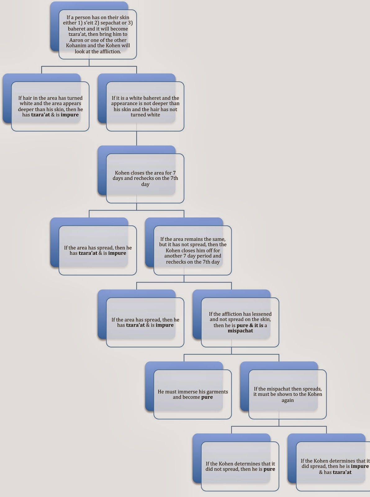 Parsha Math: Tazria- Conditional Statements and Flow Charts