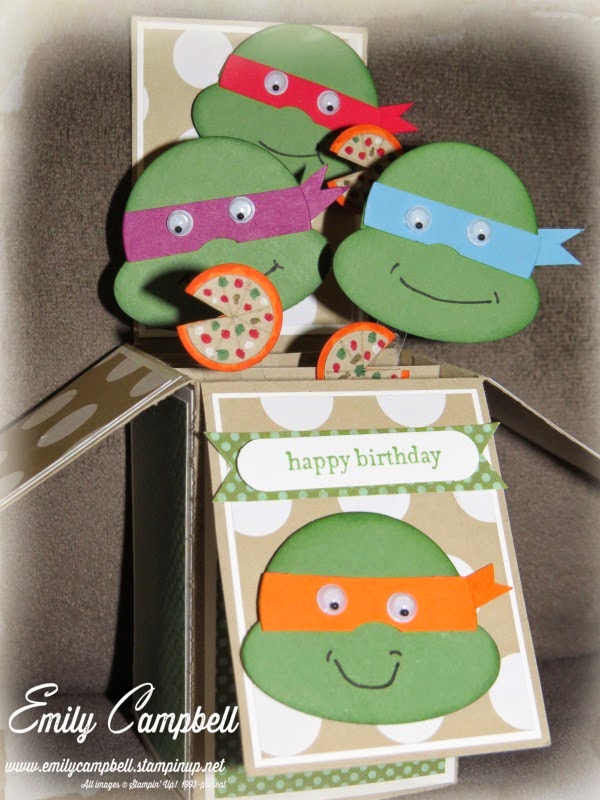 Ninja Turtle card-in-a-box