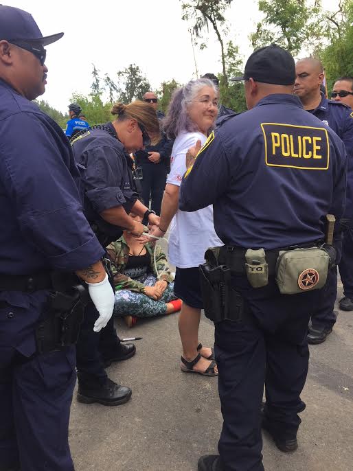 CENSORED NEWS: HAWAII: 28 Protectors Arrested Protecting Burial Grounds