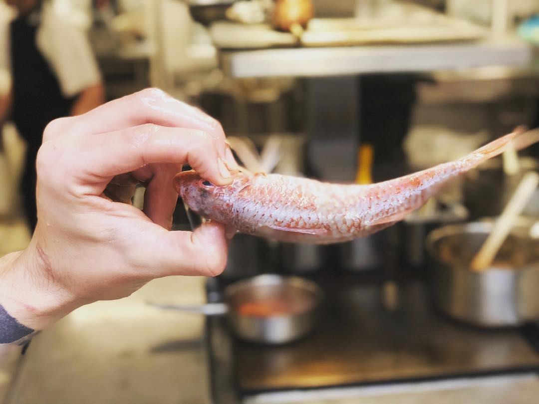 Le poisson : critères de fraîcheur et conservation