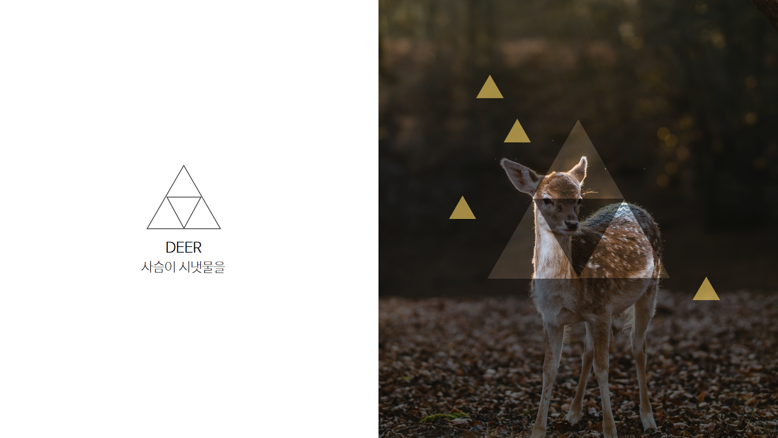 How To Place Pictures In PowerPoint LEEHYEKANG how-to-place-pictures-in-powerpoint-leehyekang