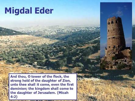 MIGDAL EDER