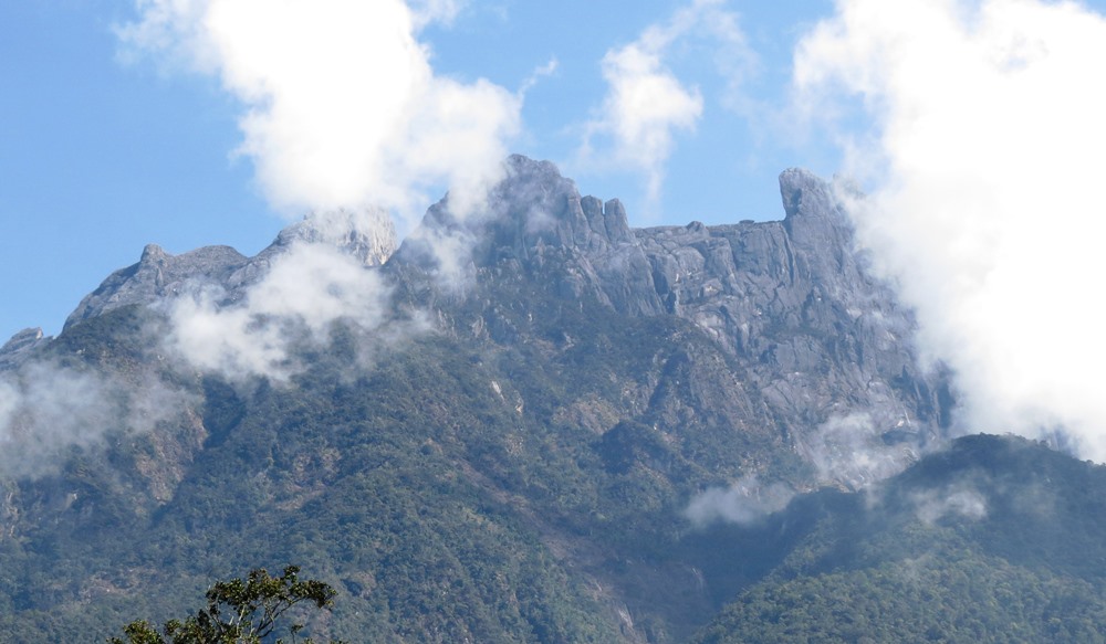 KINABALU: MESILAU NATURE PARK