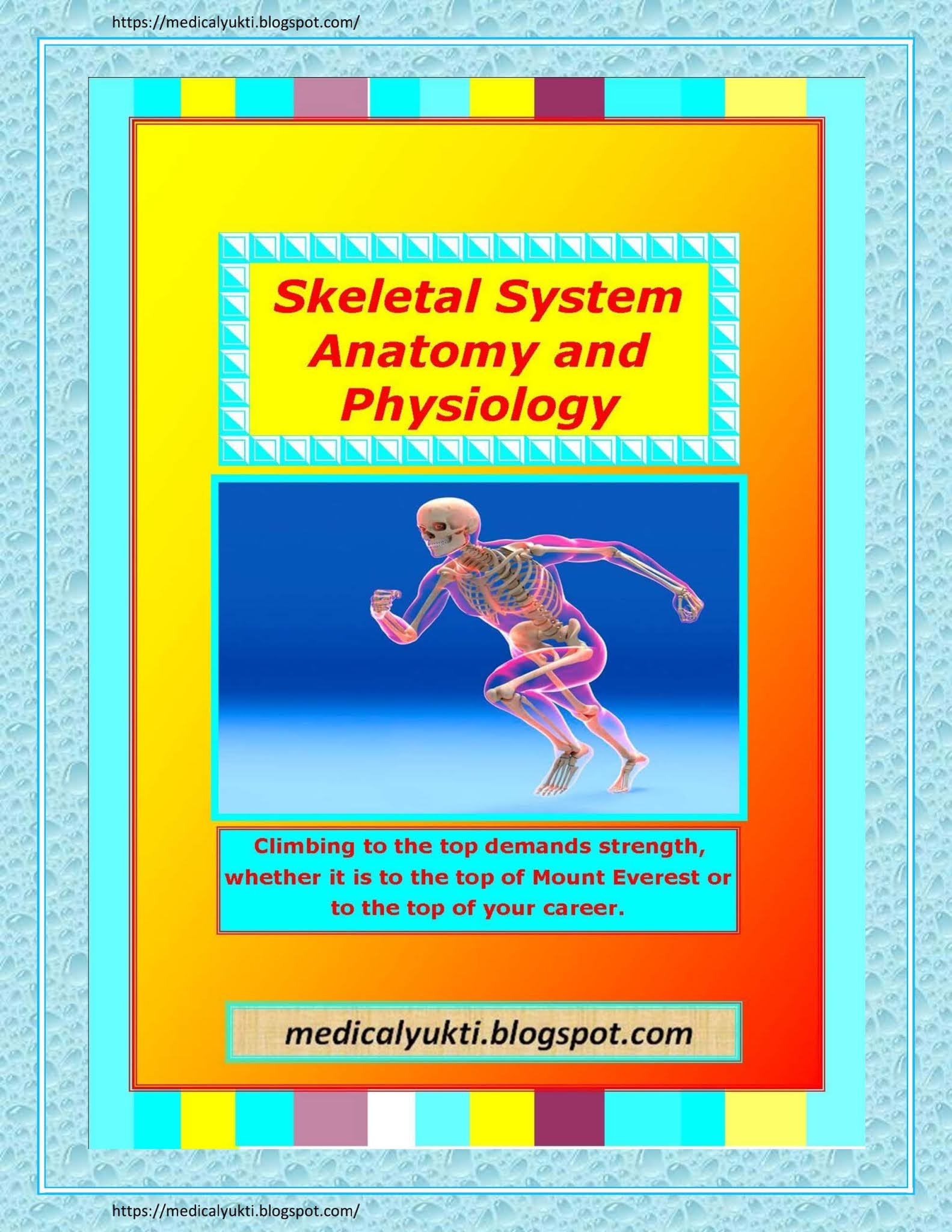 Skeletal System Anatomy Physiology - Medical Yukti
