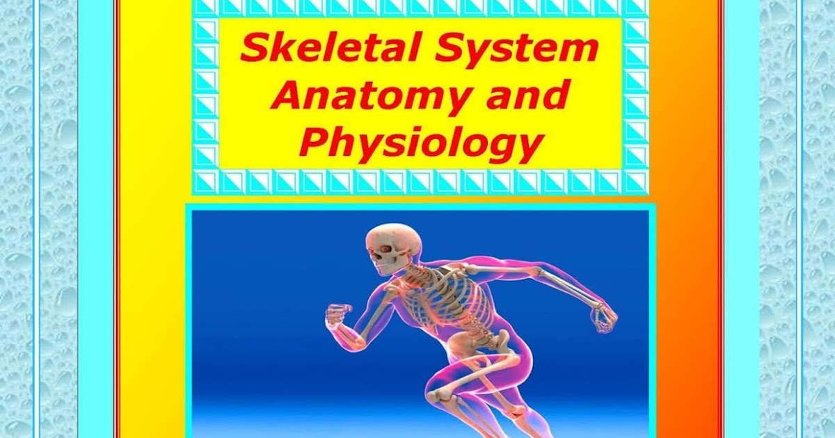 Skeletal System Anatomy Physiology - Medical Yukti
