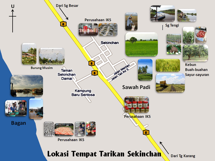 Just Want to Know: Sekinchan-我的故乡