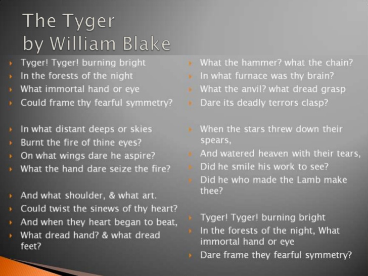 English Literature : Tyger Poem By William Blake