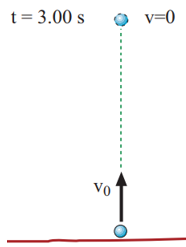 Free Fall Problems and Solutions - JEE-IIT-NCERT Physics & Math