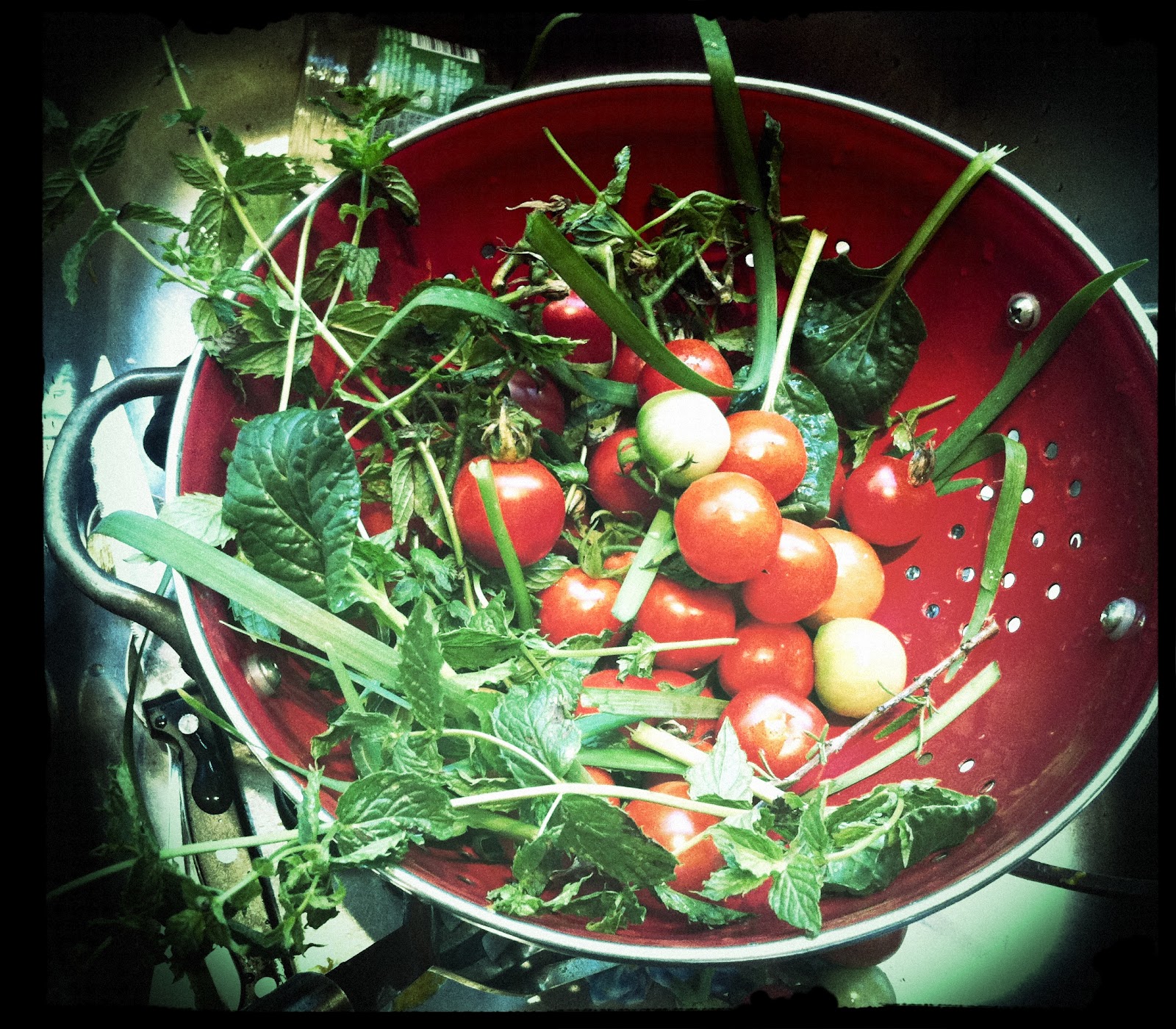 Lusciousness within and surrounding the NEST.