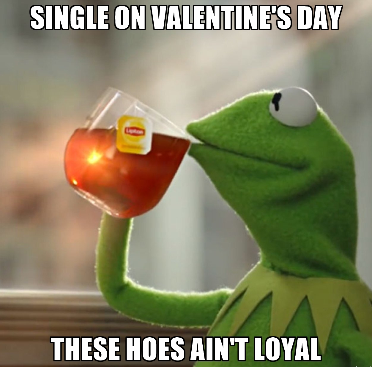 Relationship: Top 19 Very Funny Valentine Day Memes! Don't To Stop ...