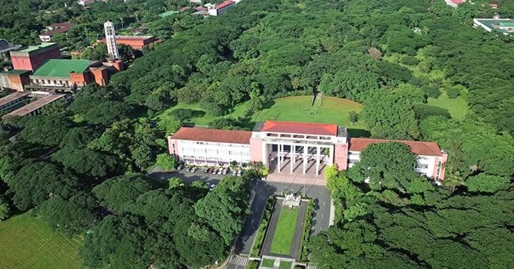Travel and Tourism: UP Diliman's Trees, Sunken Garden
