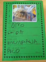 CAMINITOS DE ILUSIÓN: NUESTRO LIBRO DE MASCOTAS