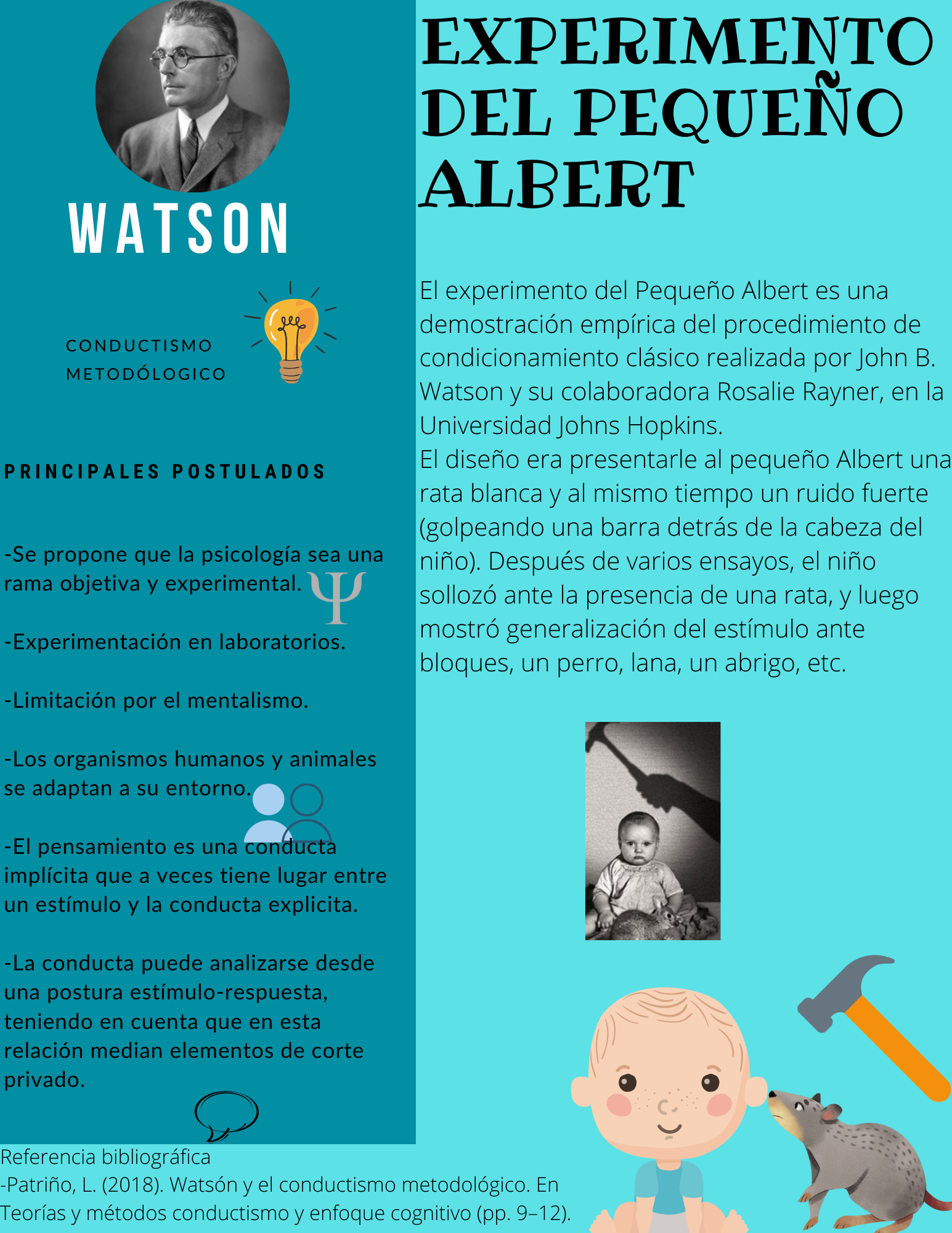 Watson principales postulados y experimento del pequeño Albert