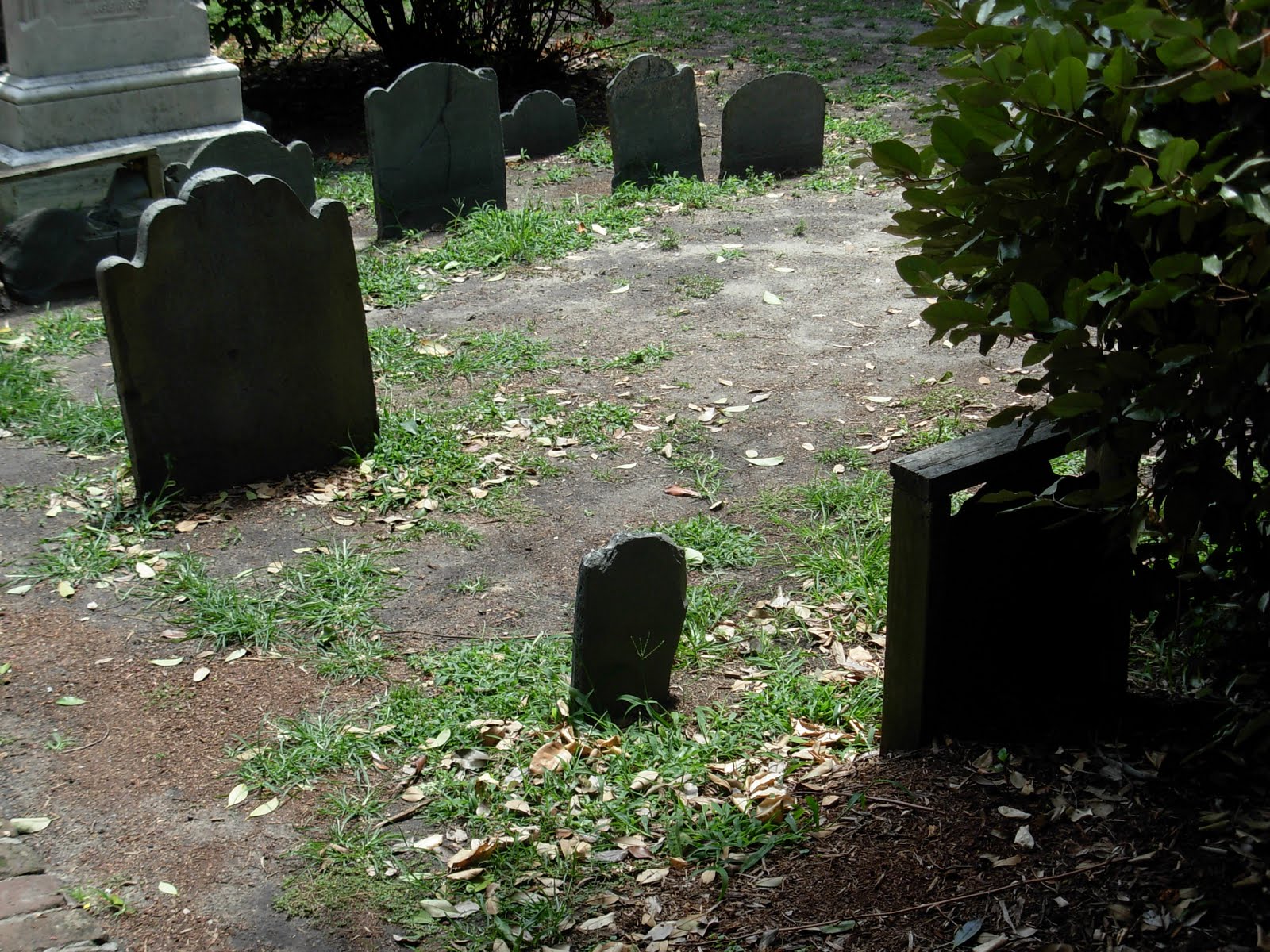 The Southern Taphophile: The Grave Portraits of the Circular ...