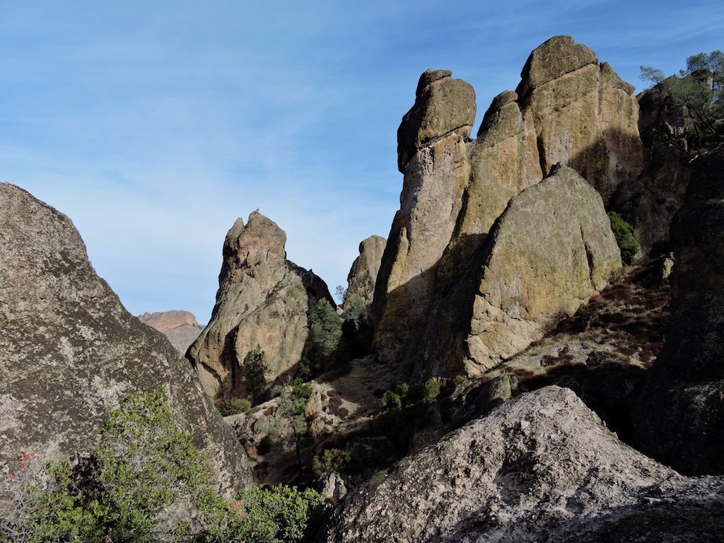 mnkcusa: Pinnacles National Park, Condors!!, Salinas, CA