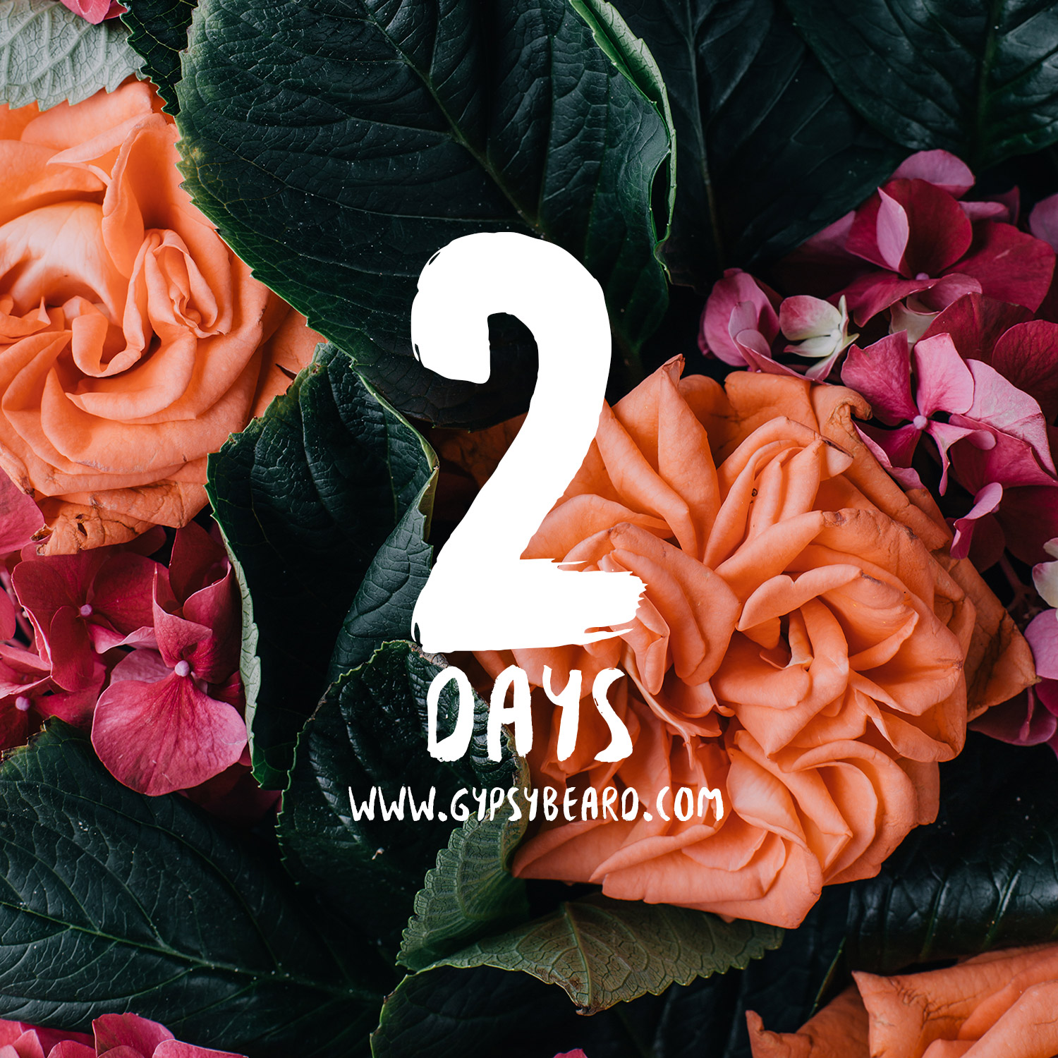 Gypsy Beard: 2 Days Until The Gypsy Beard Web Site Launches + $50 Gift ...