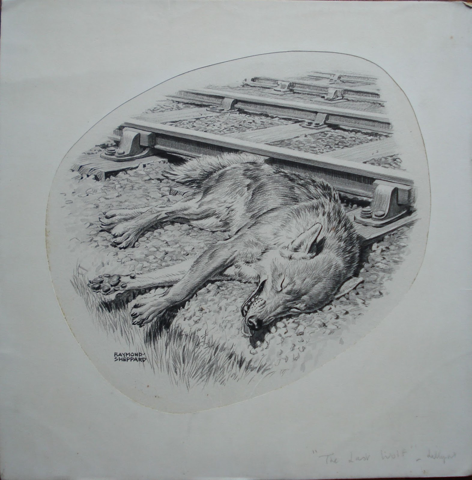 Raymond Sheppard and the Last Wolf and The Riddle