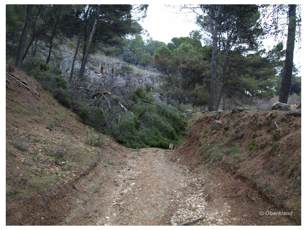Rutas de senderismo por Andalucía: Sierras Subbéticas Cordobesas ...