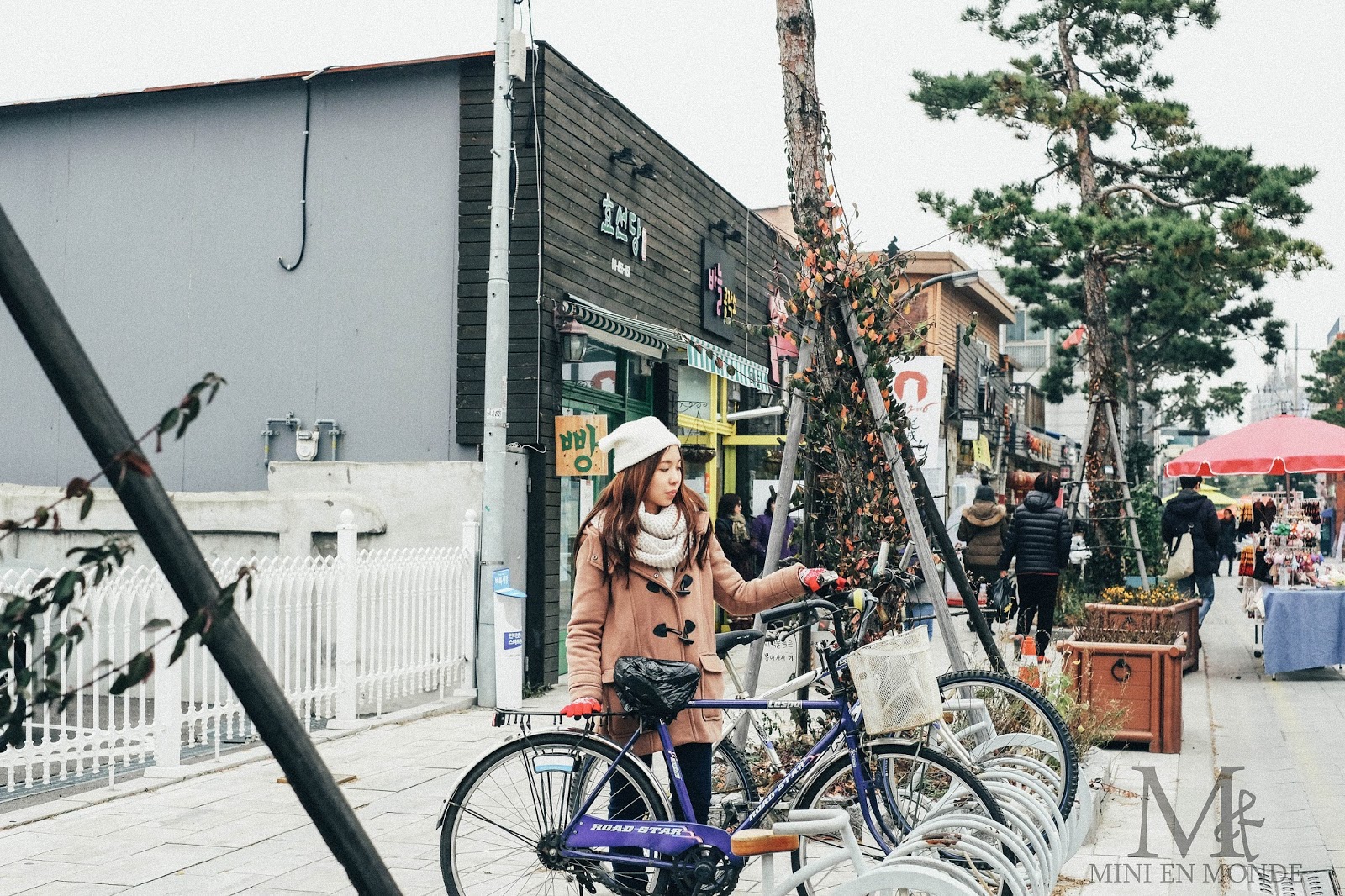 Suwon Hwaseong Fortress 수원 화성 - An Unesco Heritage Sites - Mini en Monde