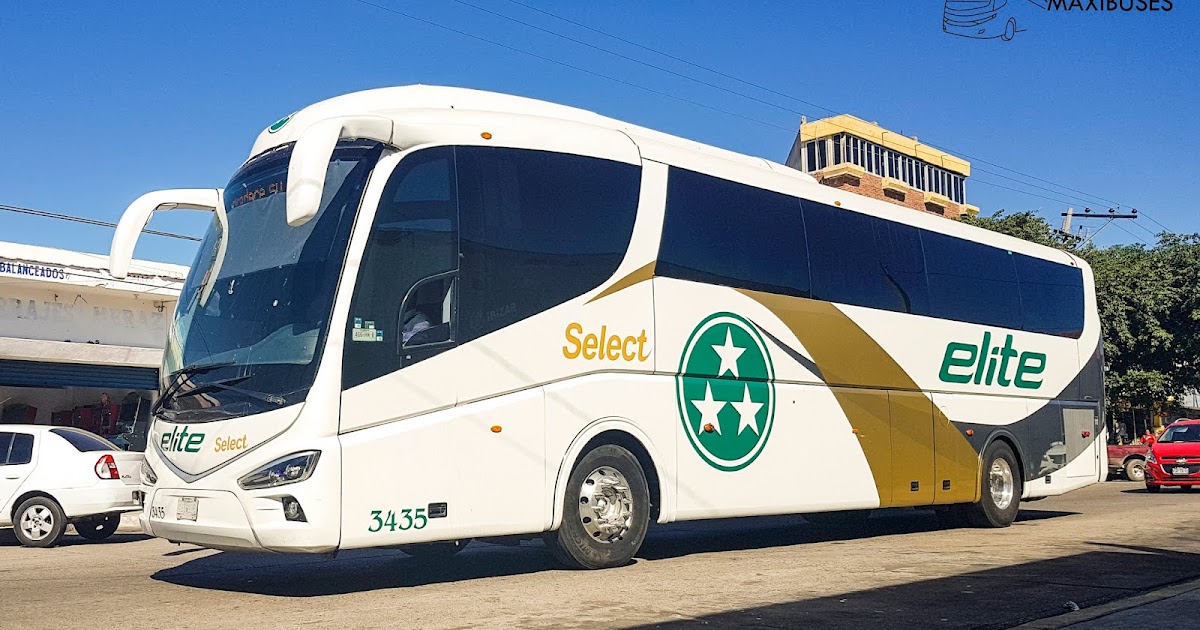 MAXIBUSES: ELITE SELECT