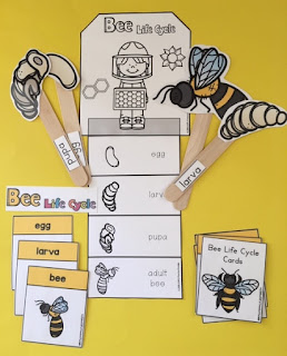 Bee Life Cycle Easy Craft ~ Preschool Printables