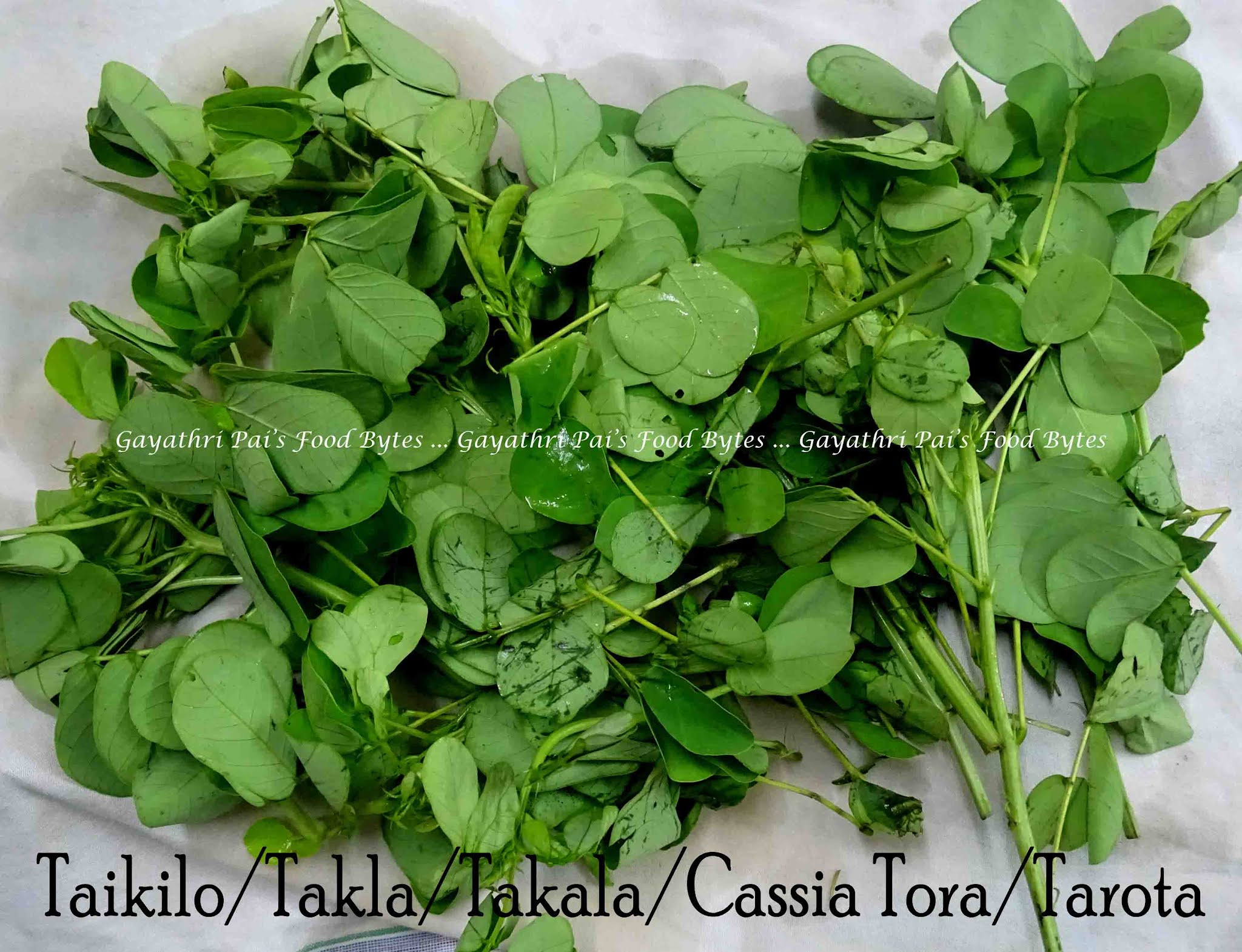 Gayathri Pai's Food Bytes: Taikilo-Ambuli (Tora Leaves- Raw Mango) Chutney.