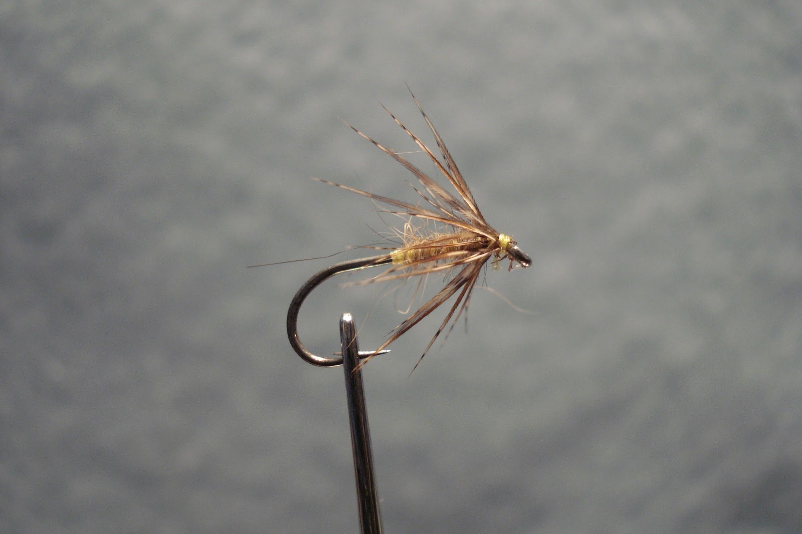 SOFT HACKLES, TIGHT LINES: Red Spider