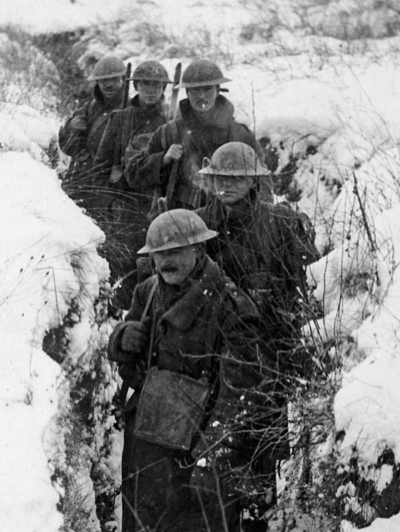 Military Analysis: Cold & Damp.