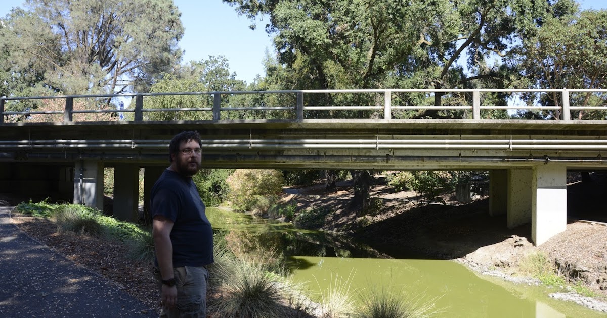 Bridge of the Week: Yolo County, California Bridges: UC Davis Bridges ...