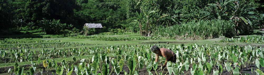 Honouliuli Ewa Traditional Cultural Properties: 2020