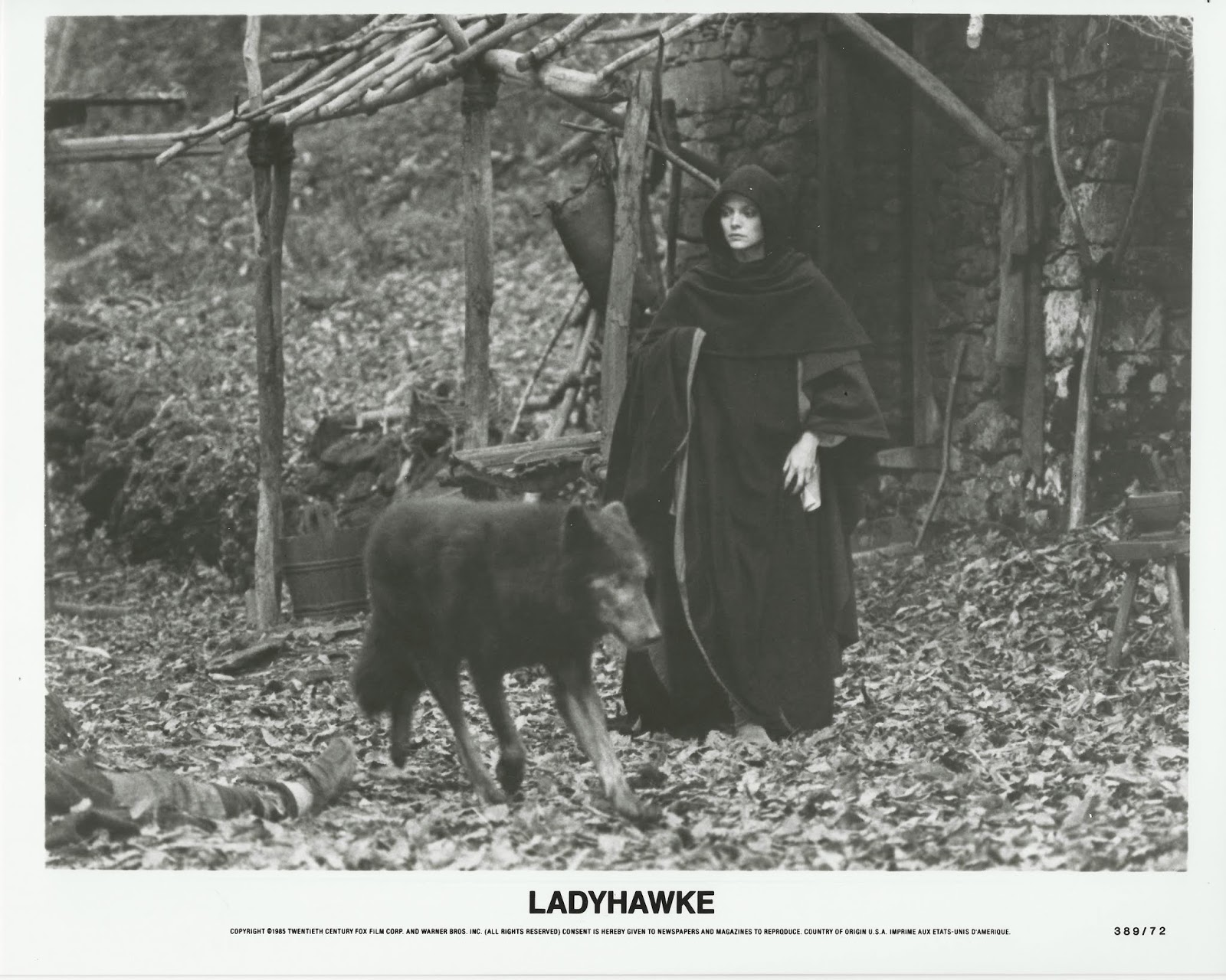 ONCE UPON A BLOG: The Legend of 'Ladyhawke' (A Deep Dive)