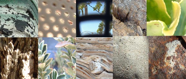 Share Our Garden!: Nature Patterns