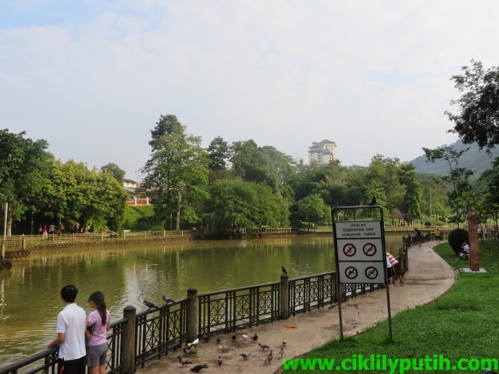 CikLilyPutih The Lifestyle Blogger: BerZUMBA Untuk Butterfly Walk Di ...