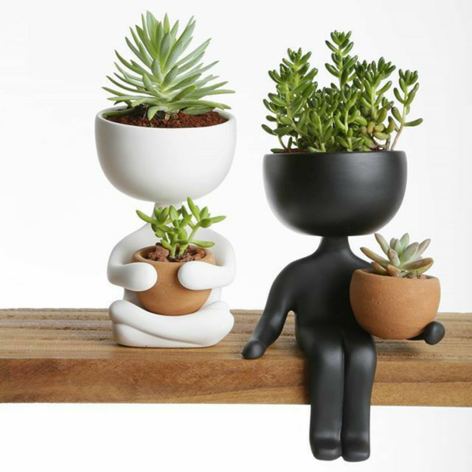 Pot Tanaman Lucu dan Unik - idrora