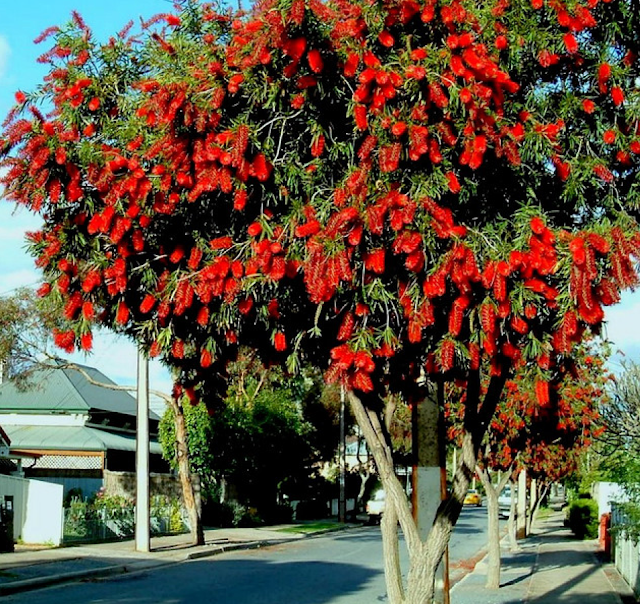How to Make a DIY Bottle Tree - C.R.A.F.T.