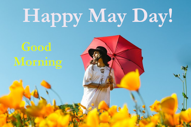 Top 10 Good Morning Happy May Day Images greeting Pictures,Photos for ...