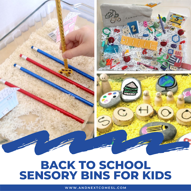 Back to School Sensory Bins for Kids | And Next Comes L - Hyperlexia ...