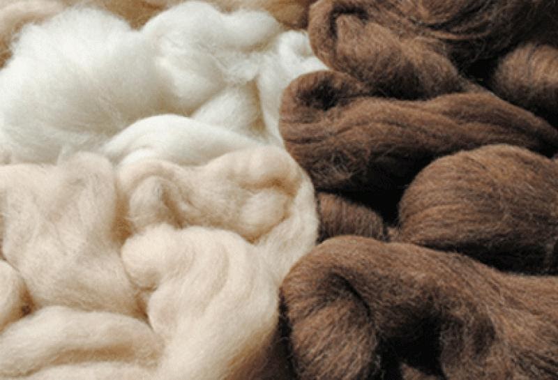 TAREA N° 01 - REGION AREQUIPA - PELO FINO CARDADO O PEINADO DE ALPACA ...