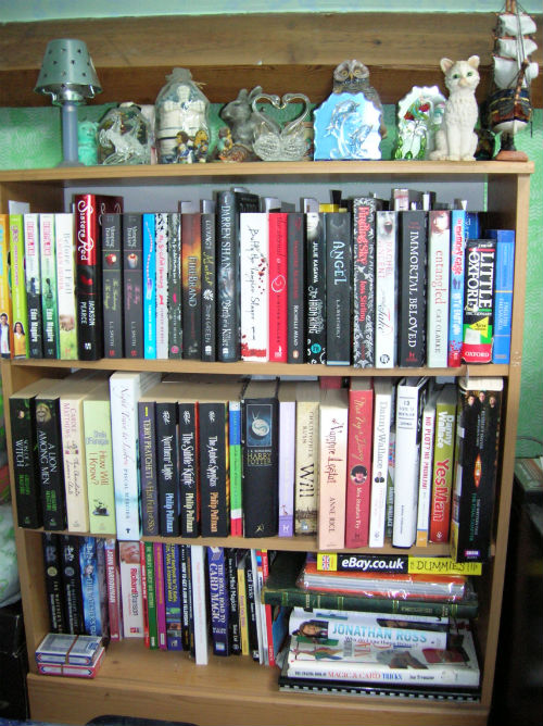 Bookcase Showcase: Jesse Owen