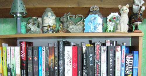 Bookcase Showcase: Jesse Owen