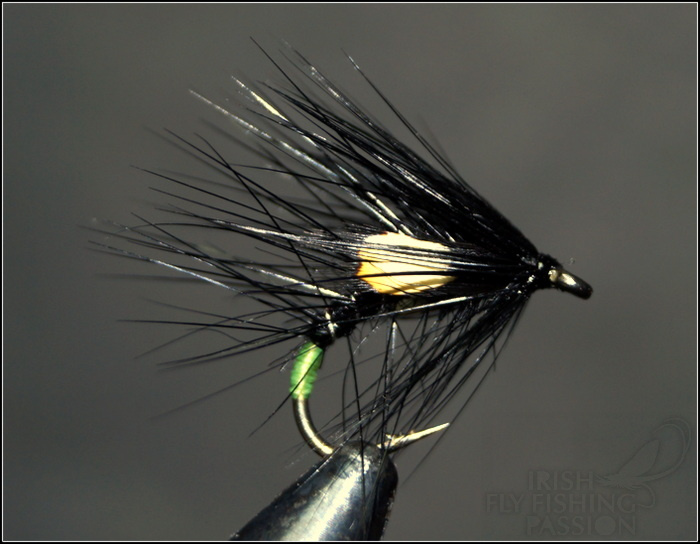 Irish fly fishing passion: Viva Snatcher