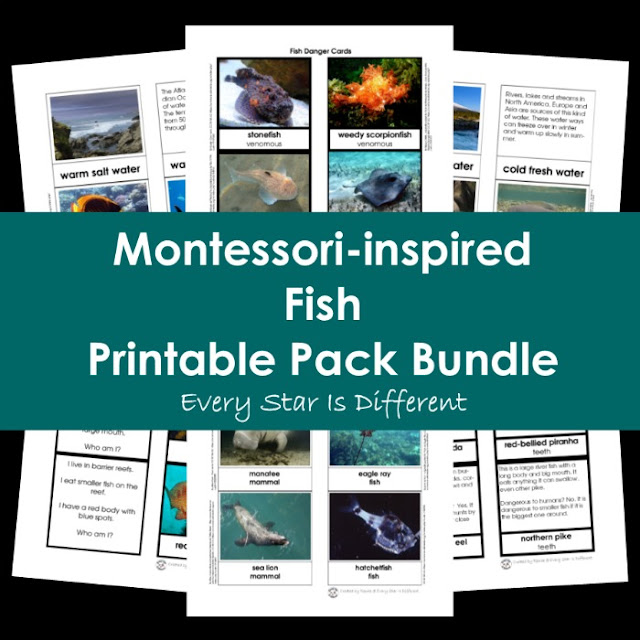 Montessori-inspired Fish Activities for Kids with Free Printable ...