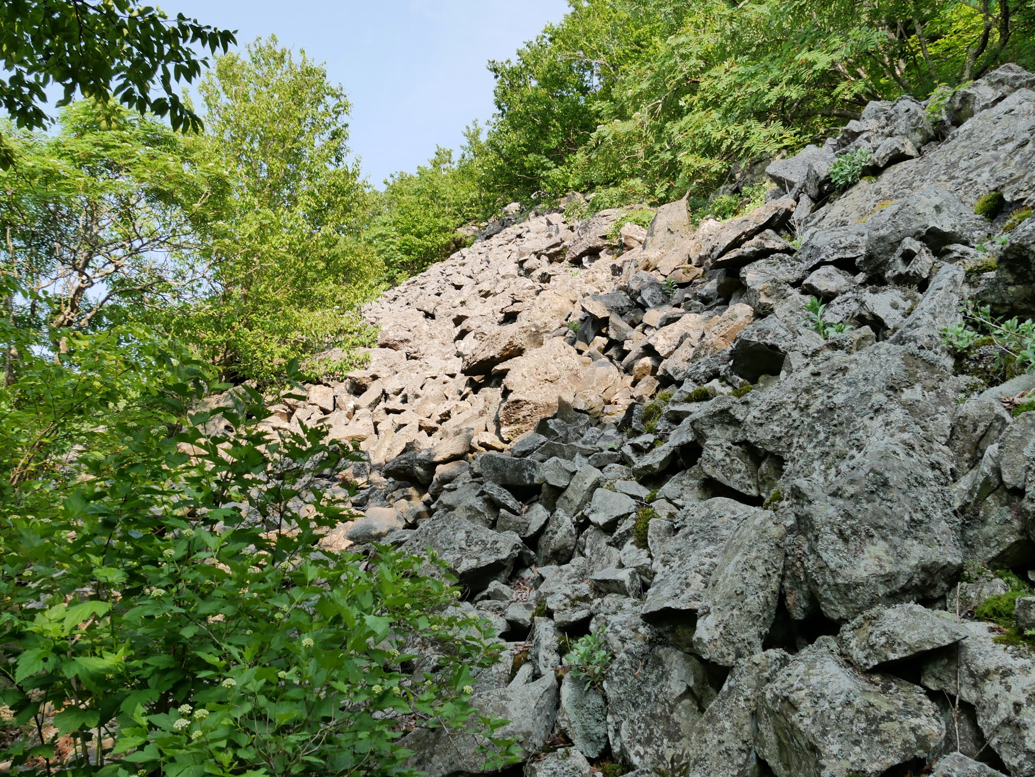 American Travel Journal: Rock Spring Cabin Parking to Hawksbill Gap ...