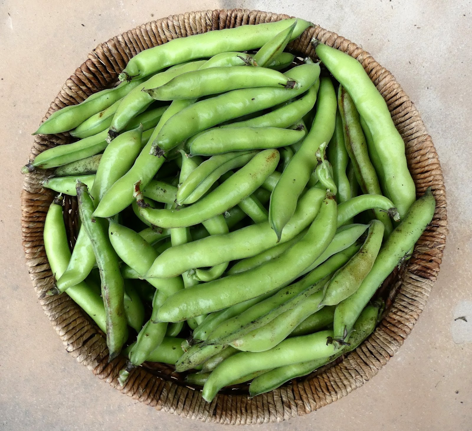 From Seed To Table: Harvest Monday - May 27, 2019